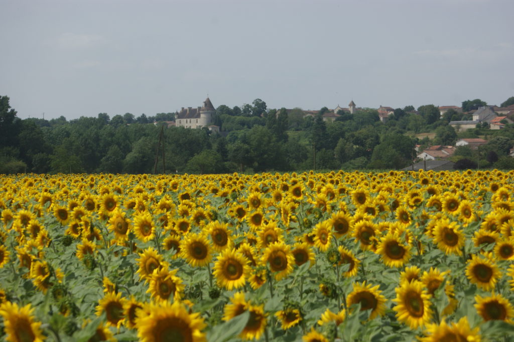 Aunac-sur-Charente - Communauté de communes Coeur de Charente ...